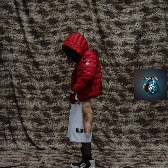 Rema – FUN (Mp3 Download)